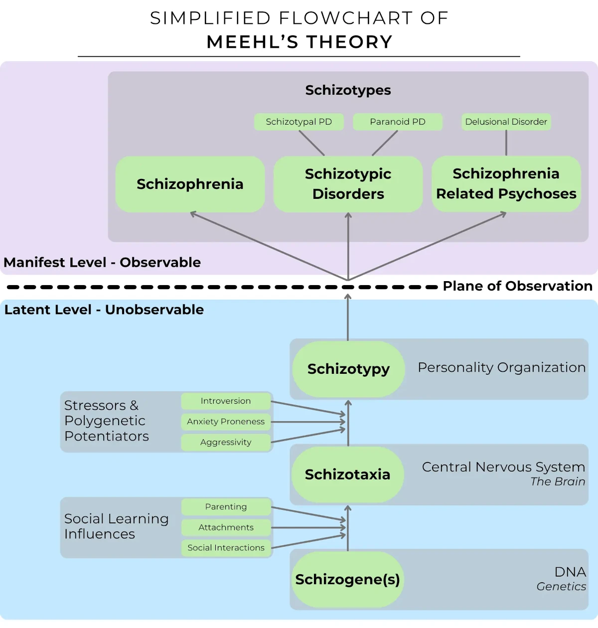 The Schizophrenic Personality | Understanding Schizotypal & Schizotypy ...